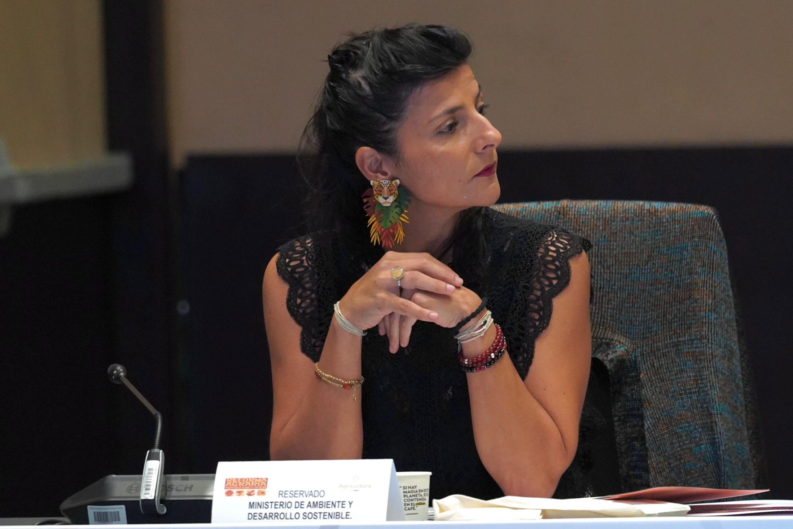 Ministra (e) Irene Vélez presenta en ICARRD+20 avances en zonificación ...